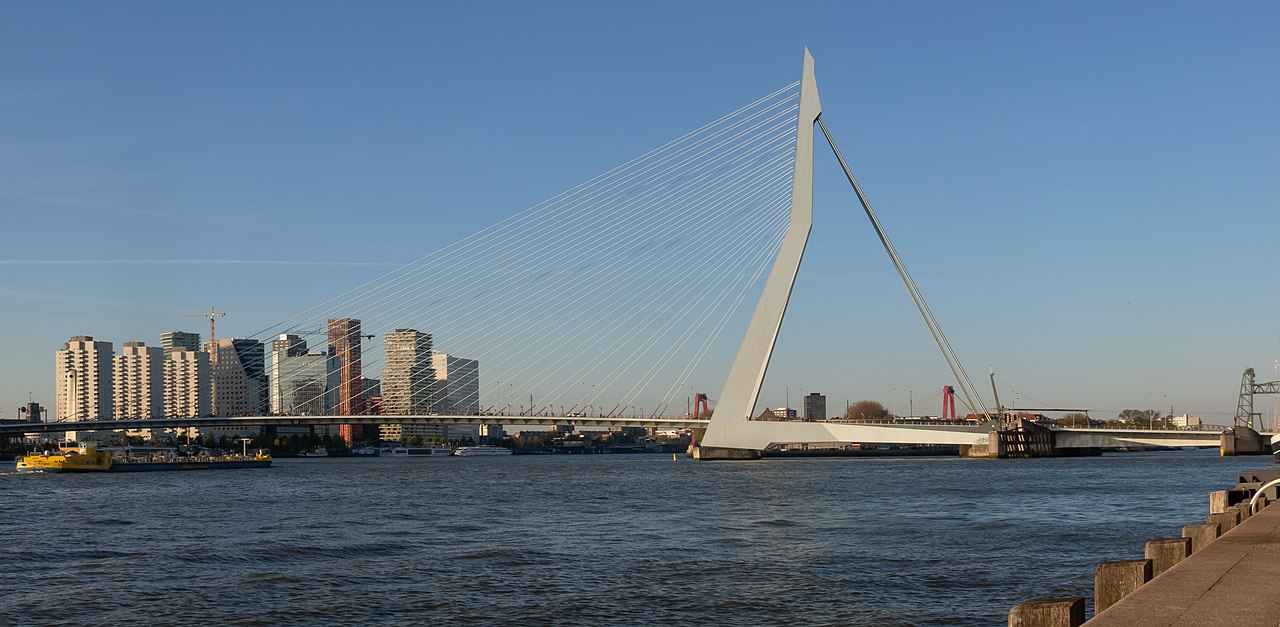 Erasmusbrug | MSc Urbanism Tour