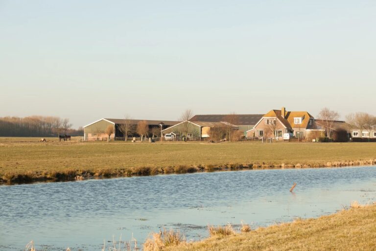 Helophyte Filter Hoeve Biesland | MSc Urbanism Tour